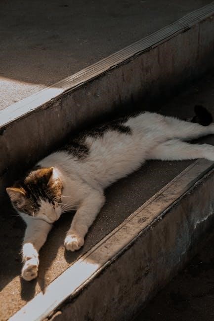 Coping Cat Workbook PDF - Help Kids Manage Anxiety